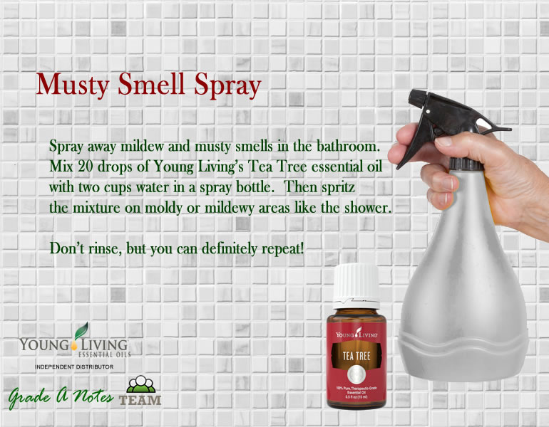 Click the thumbnail pictures to open the full size graphic: